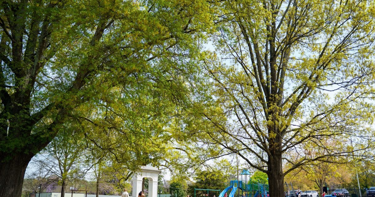 Skip the Trip: Plan a Spring Break Staycation in Canton | Explore ...